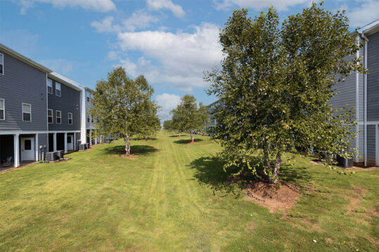 Photo Gallery | Athens Ridge